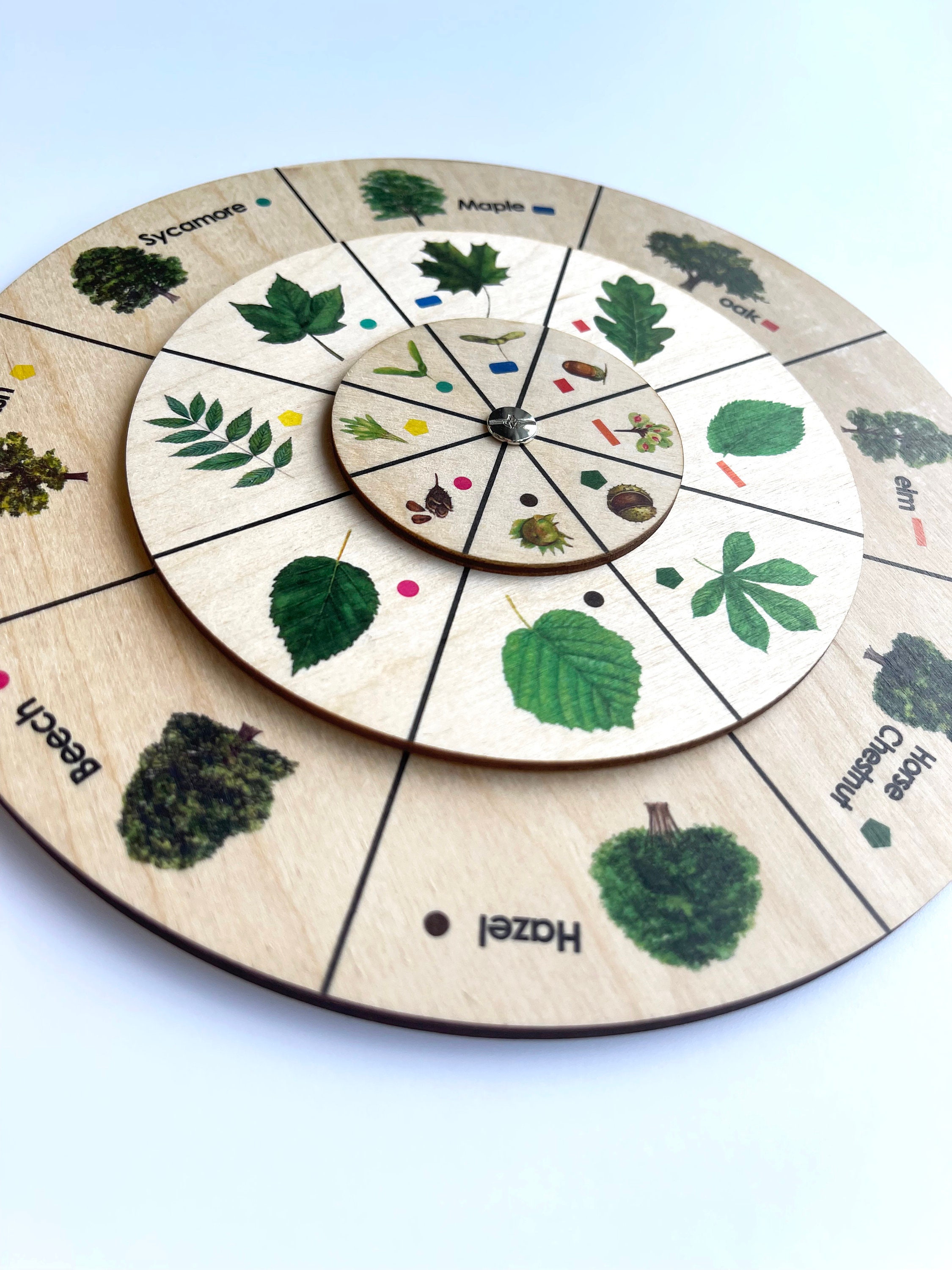 Montessori Tree Leaf Wooden Wheels Activity/ Tree Leaves Match Toys ...