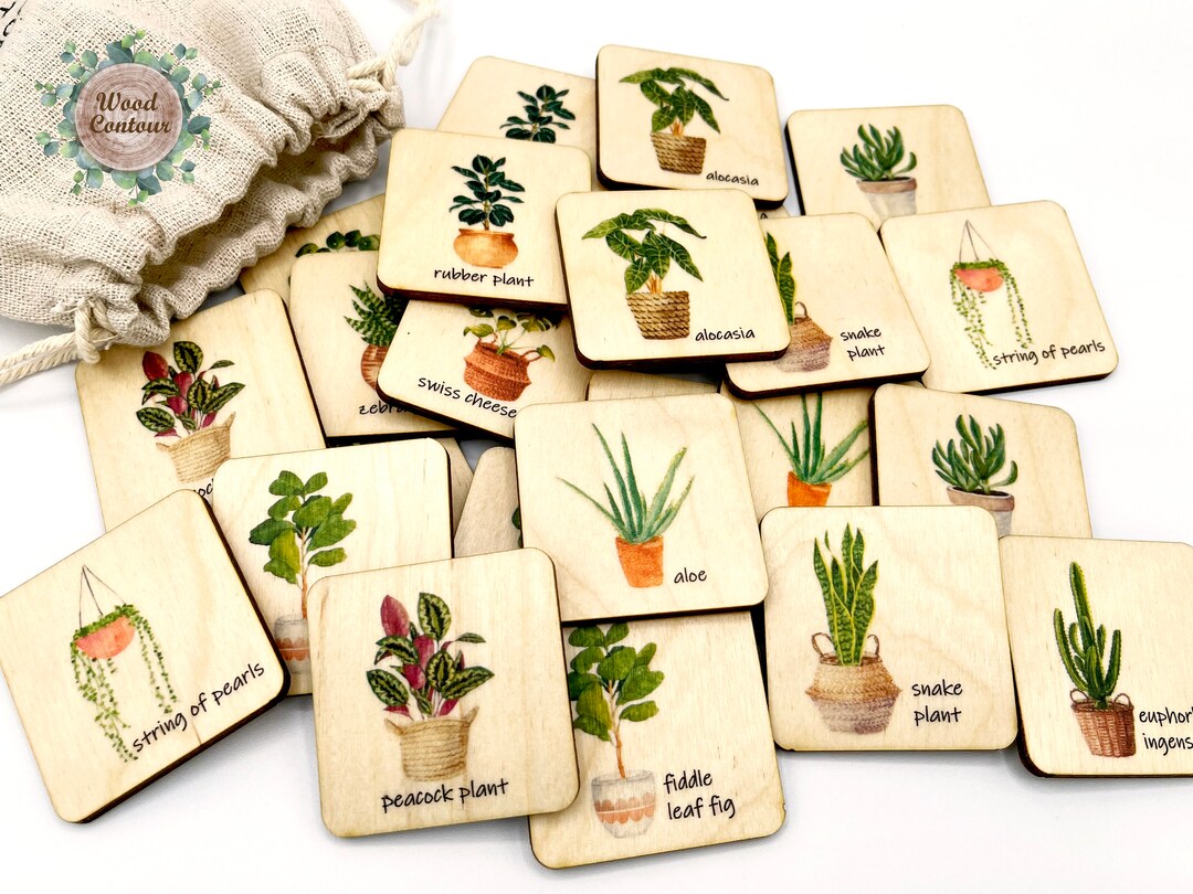Montessori Wooden House Plant Memory Game/ Homeschool Preschool ...