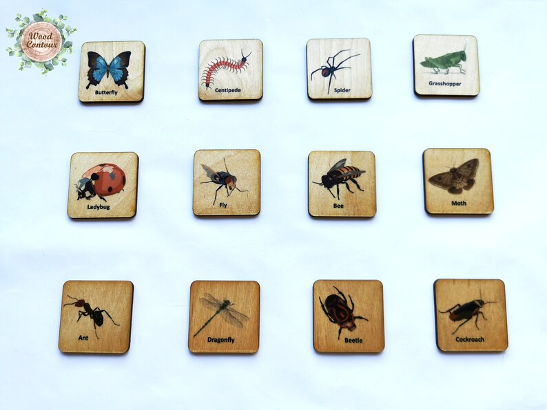 Wooden Insect Bug Memory Game Montessori Insect Bug Matching | Etsy