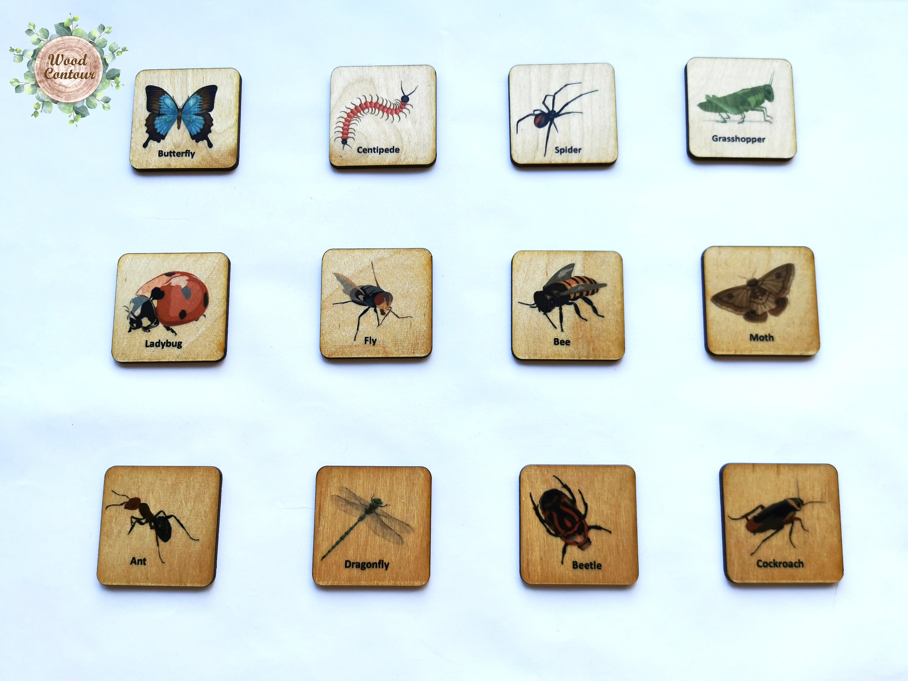 Wooden Insect Bug Memory Game Montessori Insect Bug Matching | Etsy