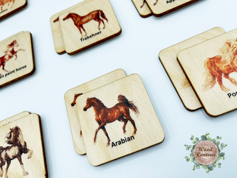 Wooden Montessori Horses Memory Game/ Homeschool Kindergarten ...