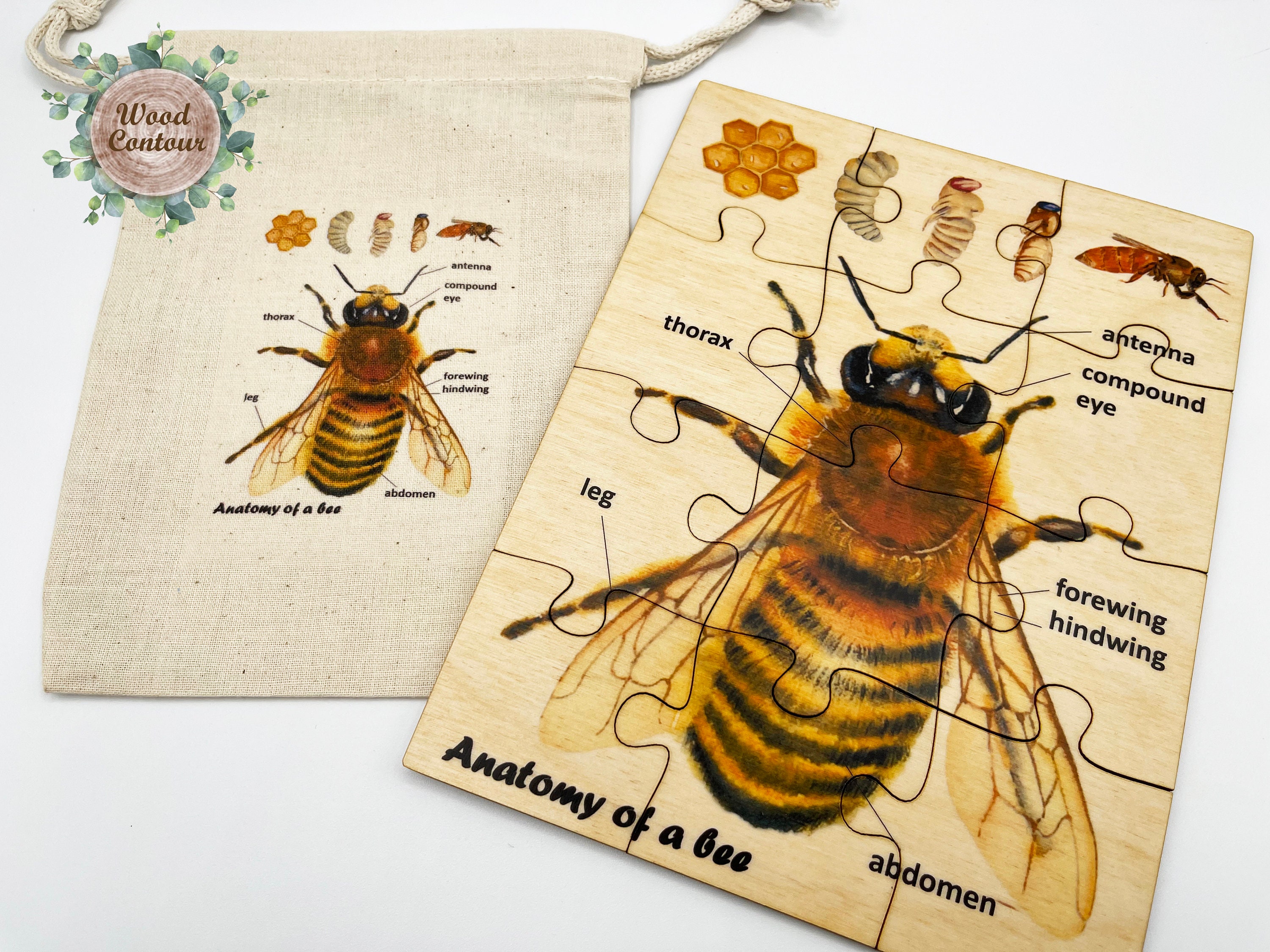 Montessori Wooden Anatomy Bee Puzzle/ Homeschool Preschool | Etsy