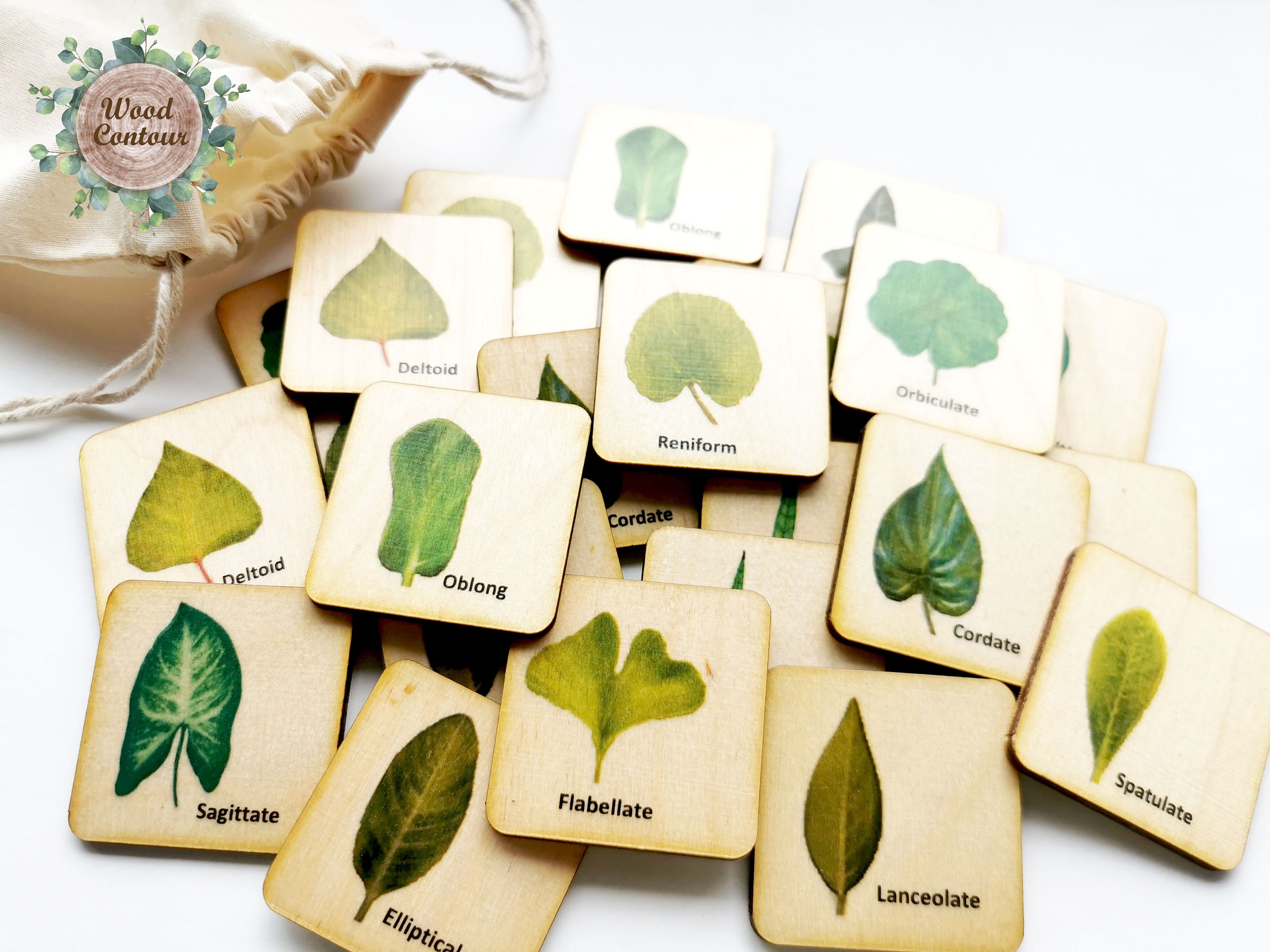 Montessori Wooden Botany Leaf Shapes Matching Cards/ | Etsy