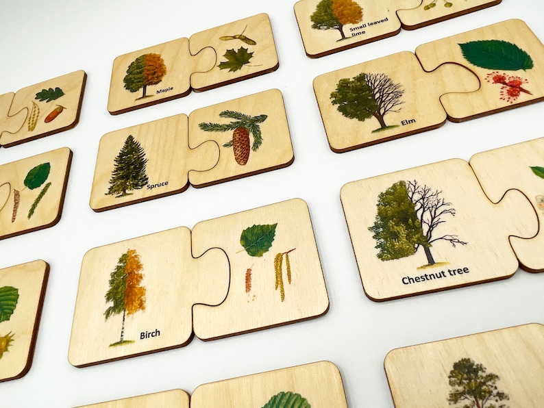 Montessori Wood Tree Leaves Matching Puzzle/ Homeschool - Etsy Canada