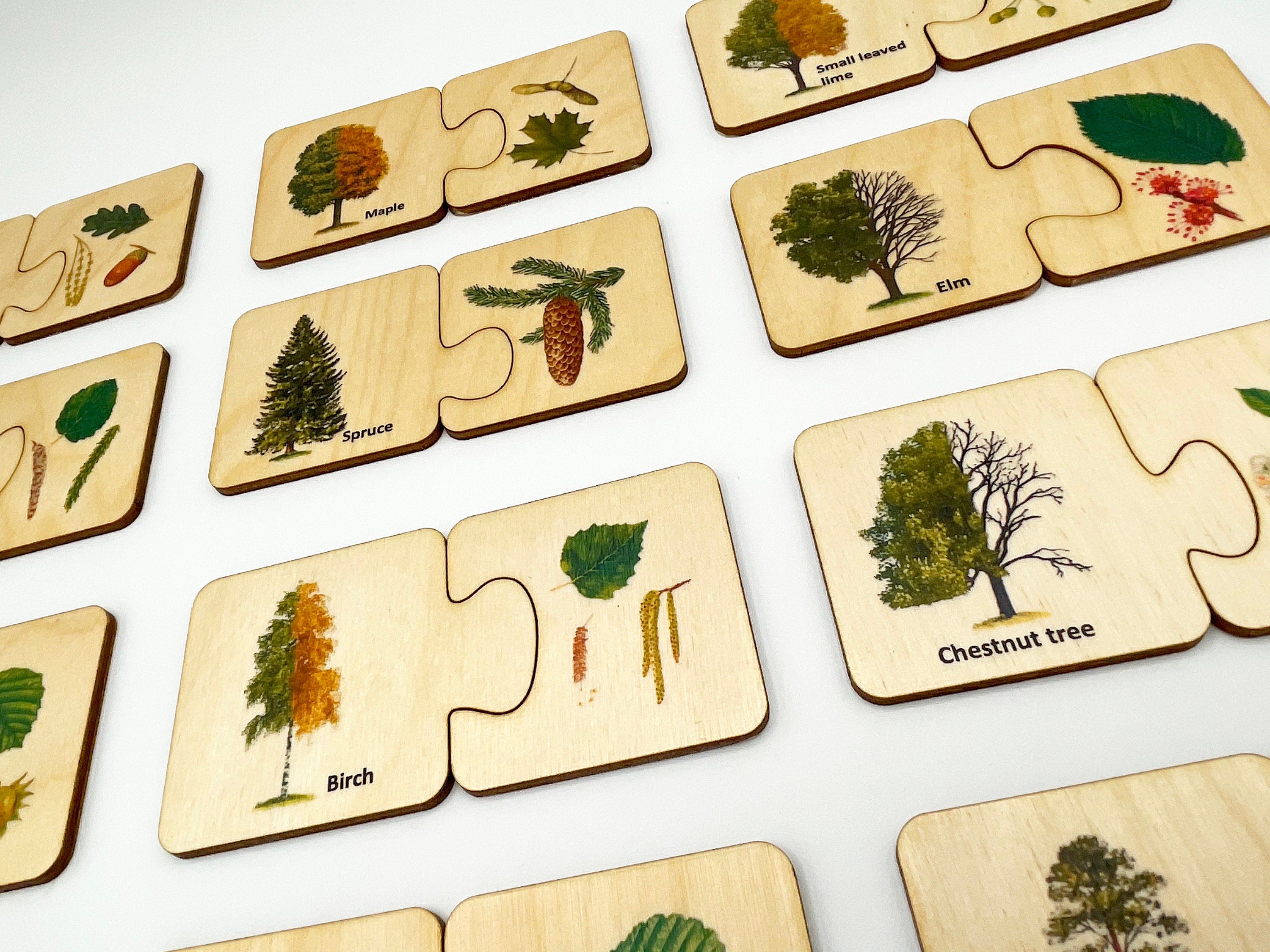 Montessori Wood Tree Leaves Matching Puzzle/ Homeschool Preschooler ...