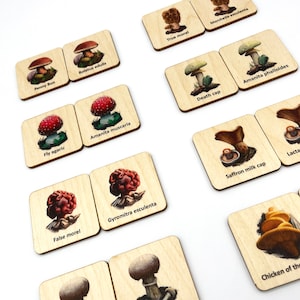 Wooden Mushroom Fungi Matching Cards, Montessori Learning Wild Mushroom ...