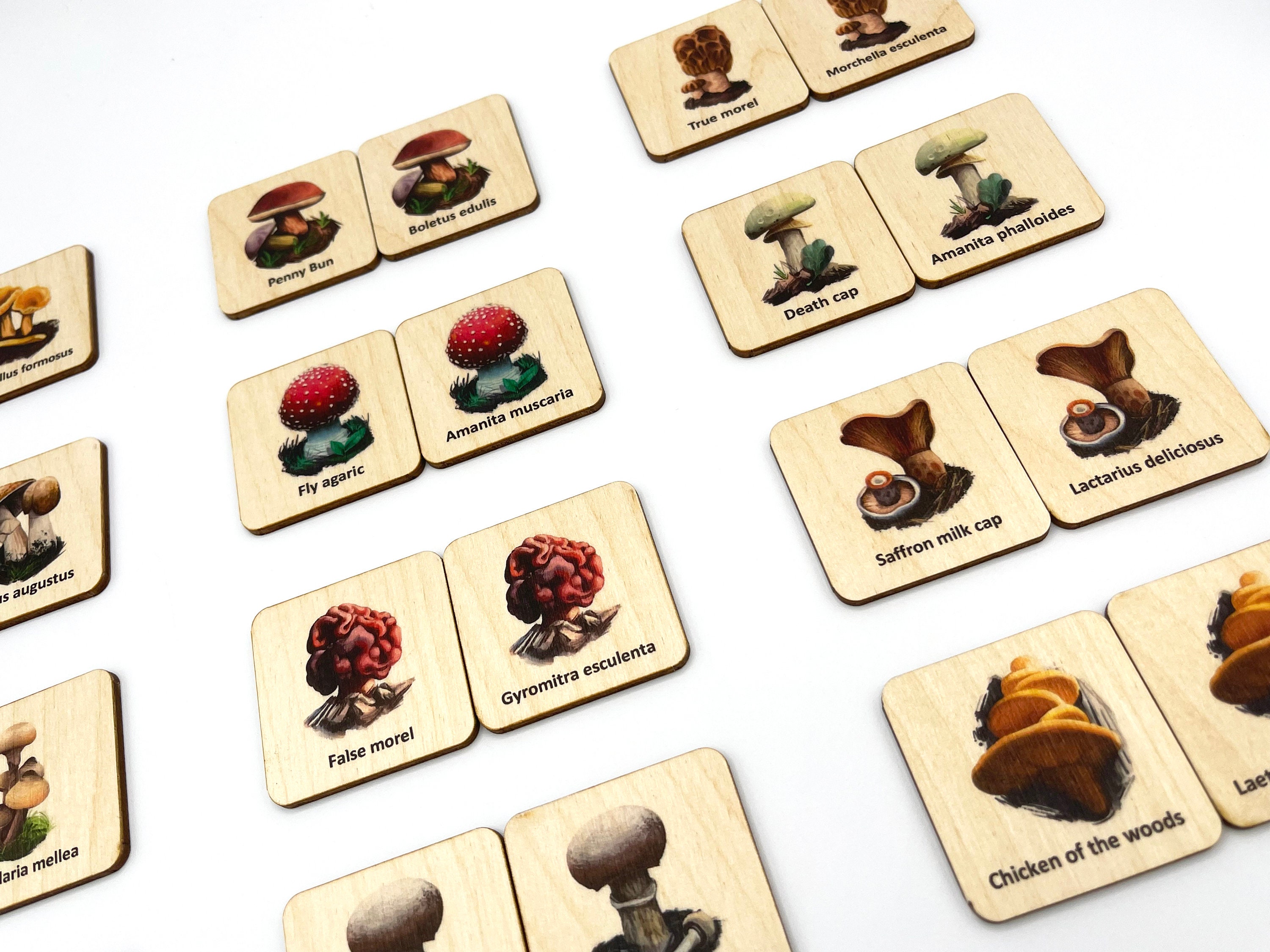 Wooden Mushroom Fungi Matching Cards Montessori Learning Wild - Etsy