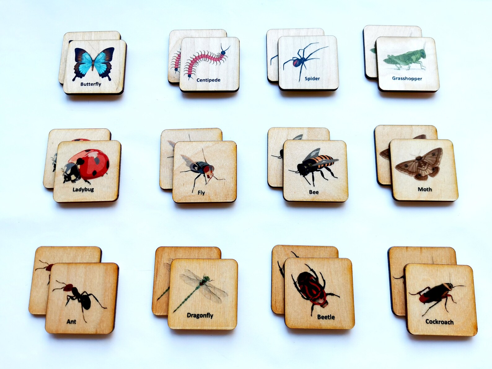 Wooden Insect Bug Memory Game Montessori insect bug matching | Etsy