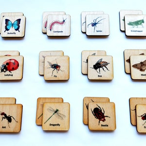 Wooden Insect Bug Memory Game Montessori insect bug matching | Etsy