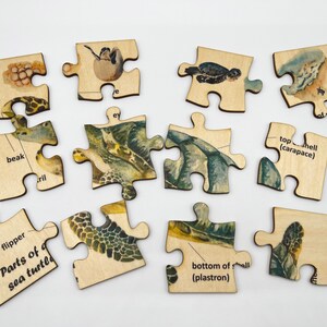Montessori Wooden Parts of Sea Turtle Jigsaw Puzzle/ Homeschool ...