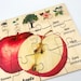 Wooden Apple Anatomy Puzzle/ Montessori Parts of an Apple Activity ...