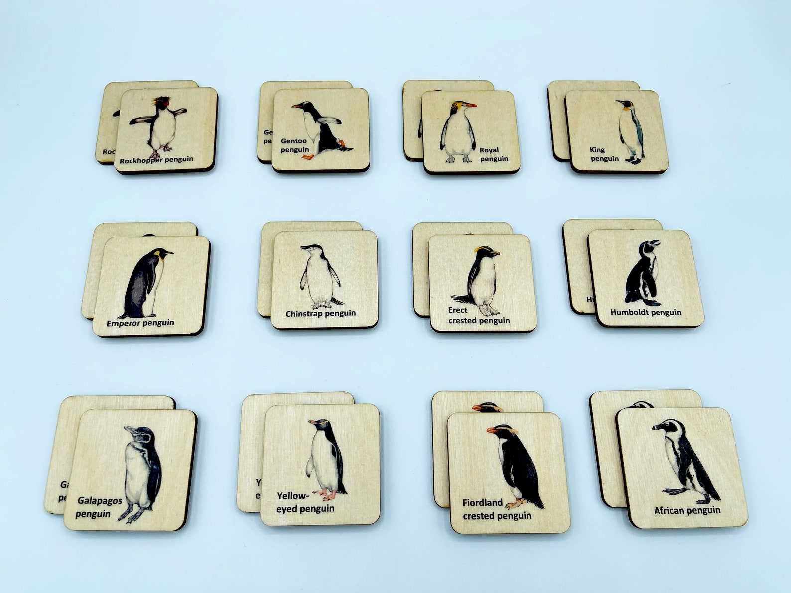 Wooden Penguin Animals Memory Game Matching Cards/montessori - Etsy