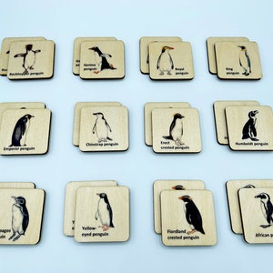 Wooden Penguin Animals Memory Game Matching Cards/montessori ...