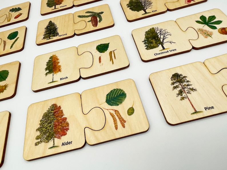 Montessori Wood Tree Leaves Matching Puzzle/ Homeschool - Etsy