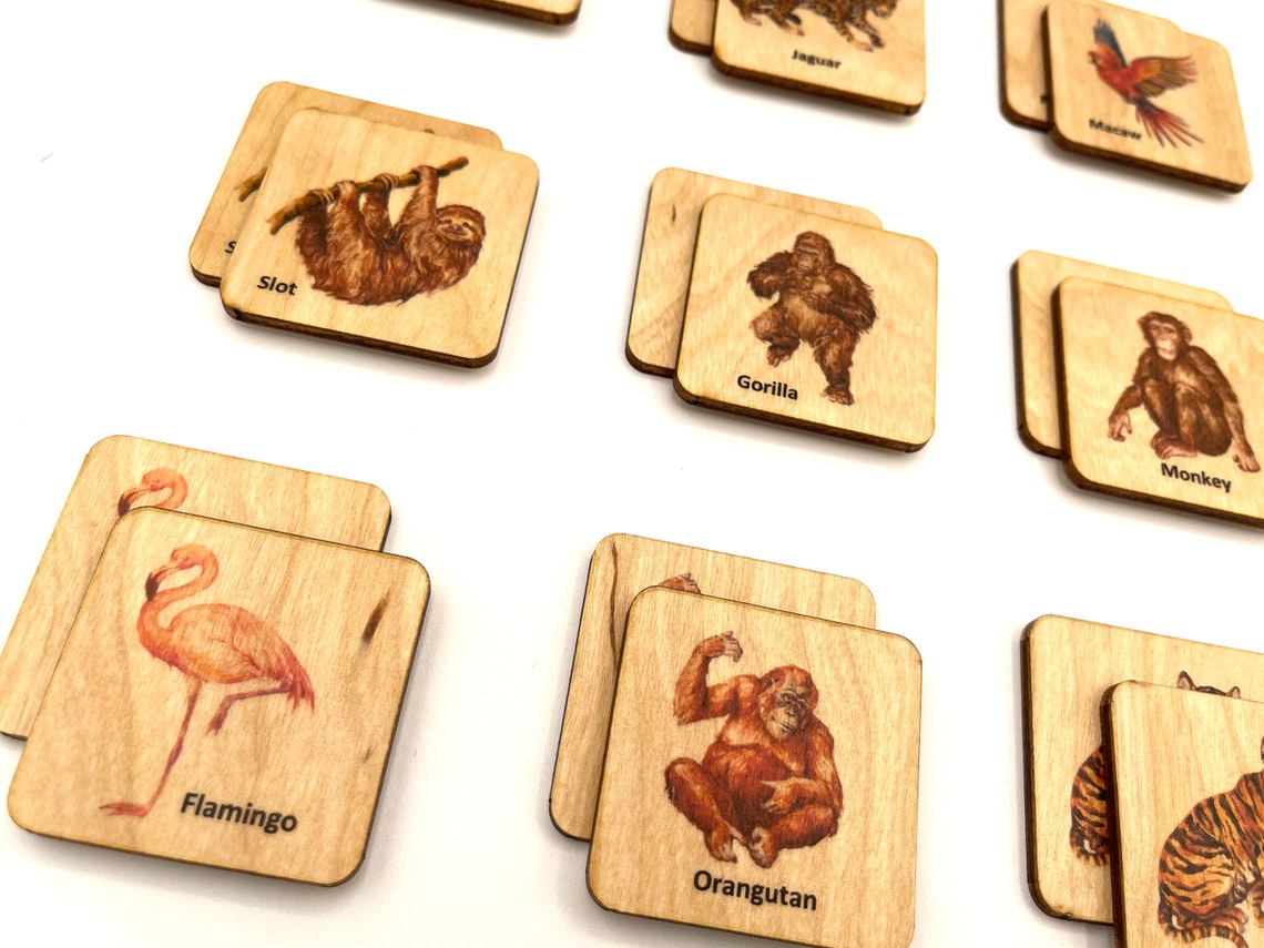 Montessori Rainforest Animals Matching Cards Wooden South | Etsy