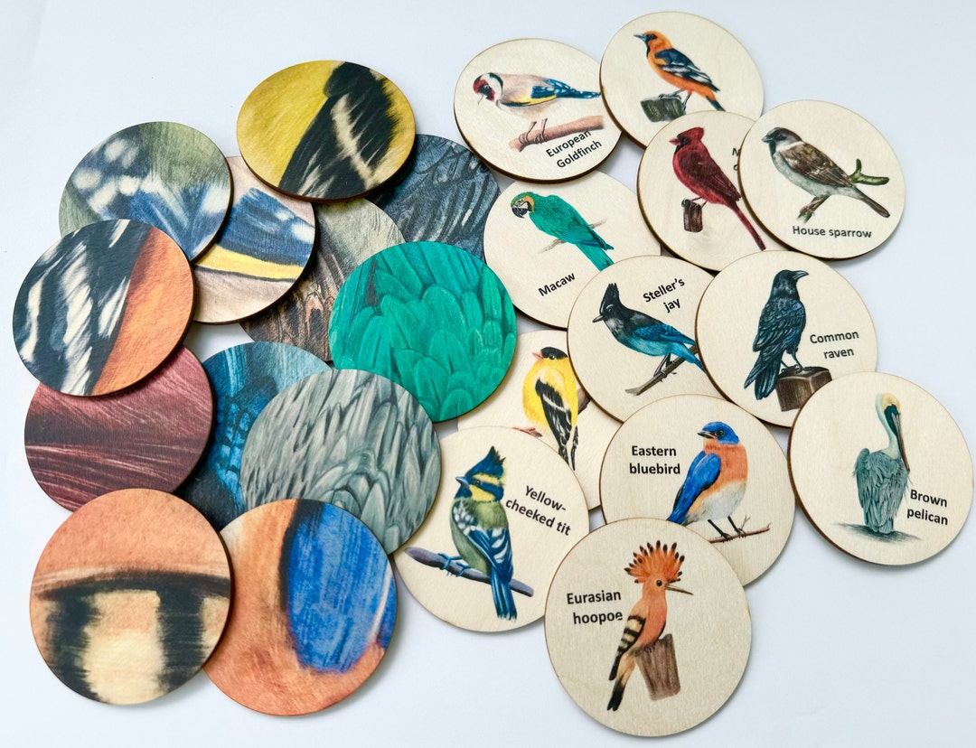 Handcrafted Wooden Birds Feather Pattern Matching Game/ Educational Toy ...