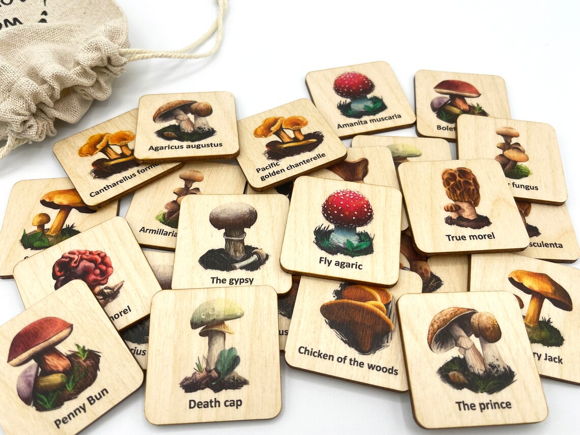 Wooden Mushroom Fungi Matching Cards Montessori Learning Wild | Etsy