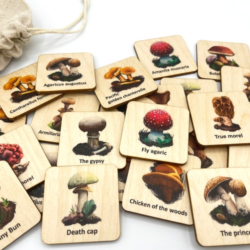 Wooden Mushroom Fungi Matching Cards Montessori Learning Wild - Etsy