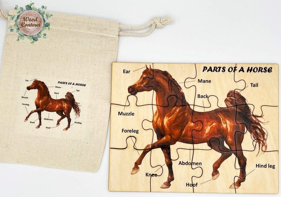 Montessori Wooden Anatomy Horse Puzzle/ Homeschool Preschool ...