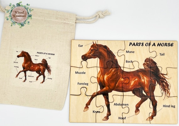Montessori Wooden Anatomy Horse Puzzle/ Homeschool Preschool | Etsy
