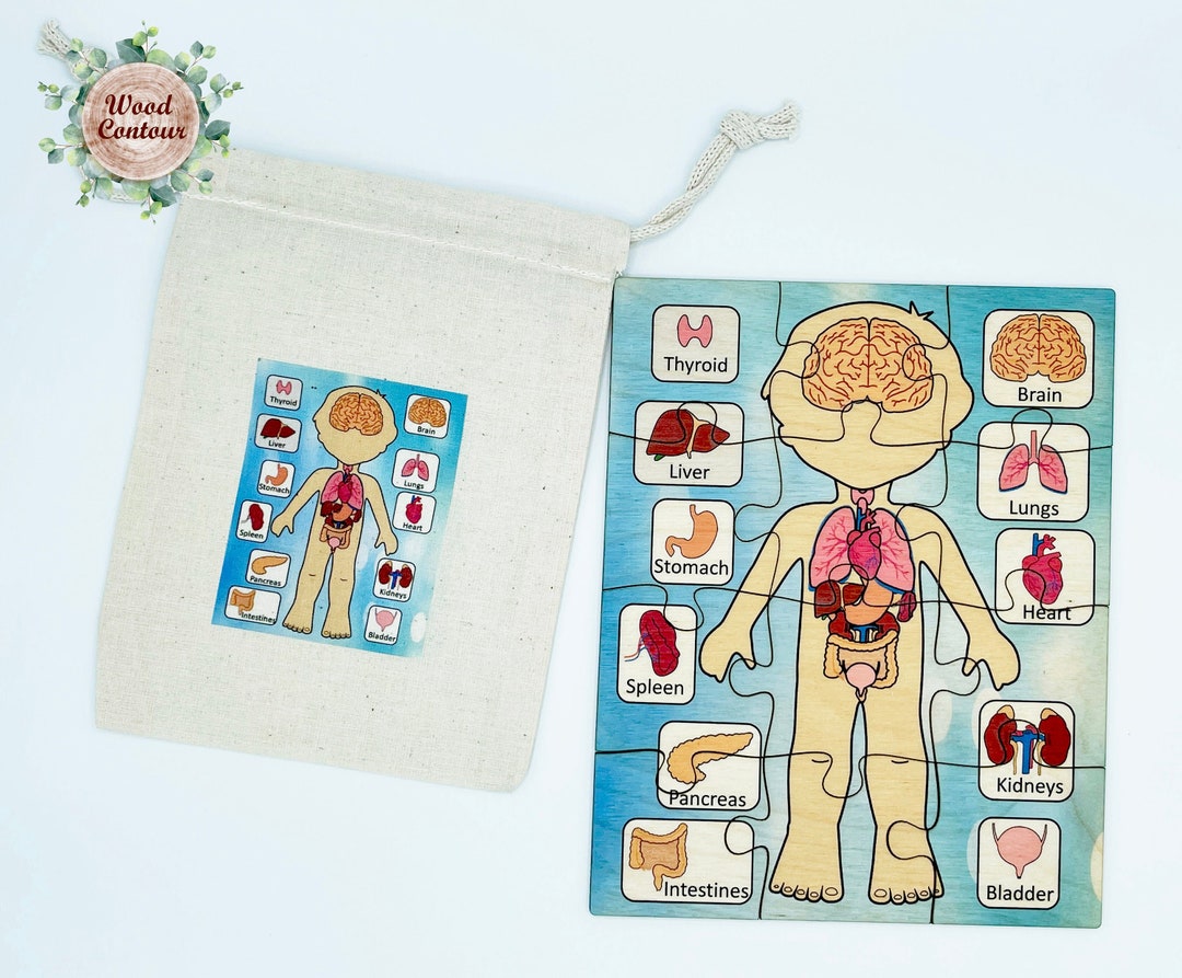 Montessori Wooden Body Parts Jigsaw Puzzle/ Wood Anatomy Human Body ...