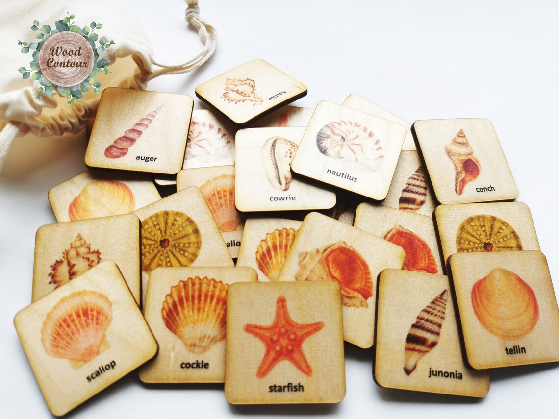 Montessori Wooden Seashell Matching Cards/ Homeschool - Etsy