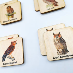 Montessori Wooden Owls Matching Game/memory Game Homeschool Activities ...