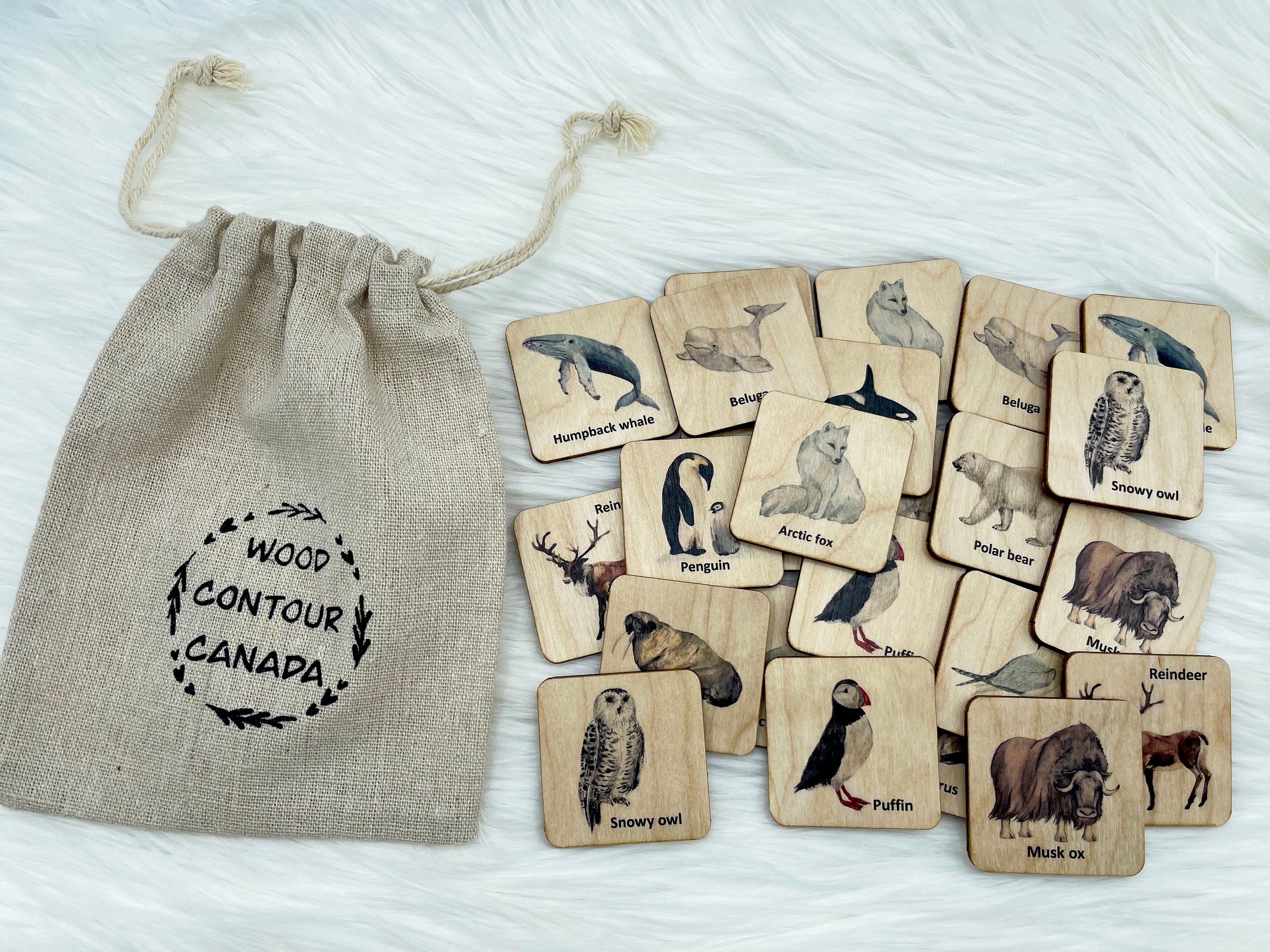 Montessori Arctic Animals Wooden Matching Game/ Homeschool - Etsy