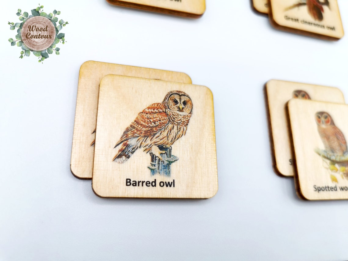 Montessori Wooden Owls Matching Game/memory Game Homeschool Activities ...