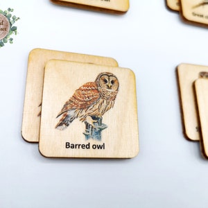 Montessori Wooden Owls Matching Game/memory Game Homeschool Activities ...
