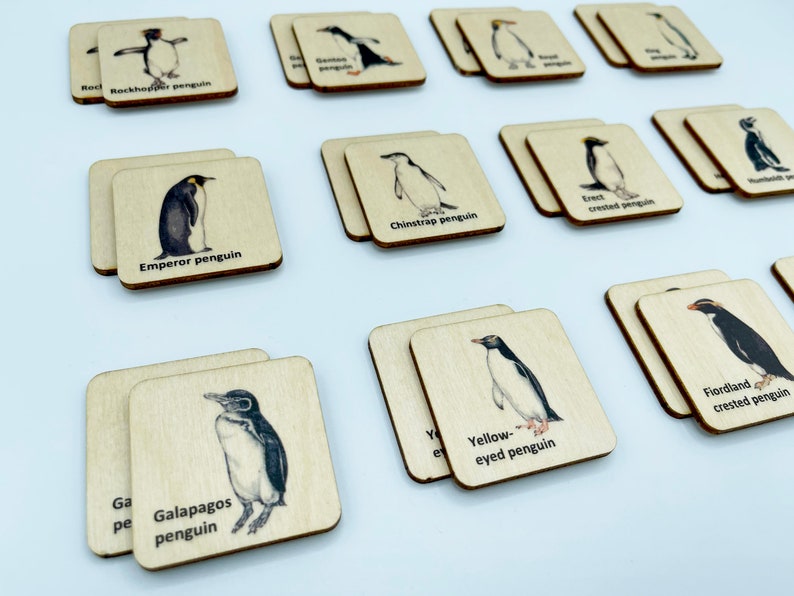 Wooden Penguin Animals Memory Game Matching Cards/montessori | Etsy