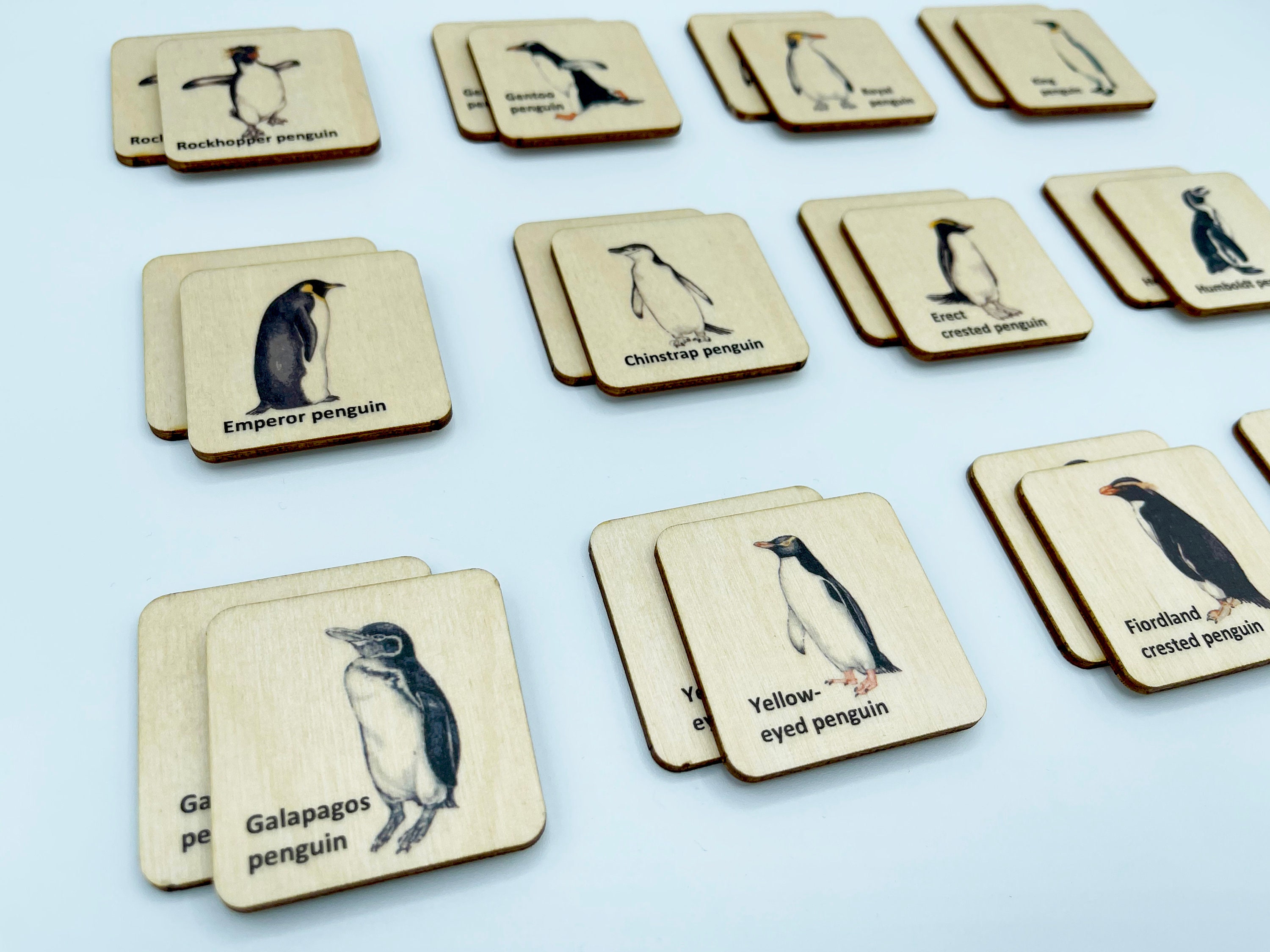 Wooden Penguin Animals Memory Game Matching Cards/montessori - Etsy
