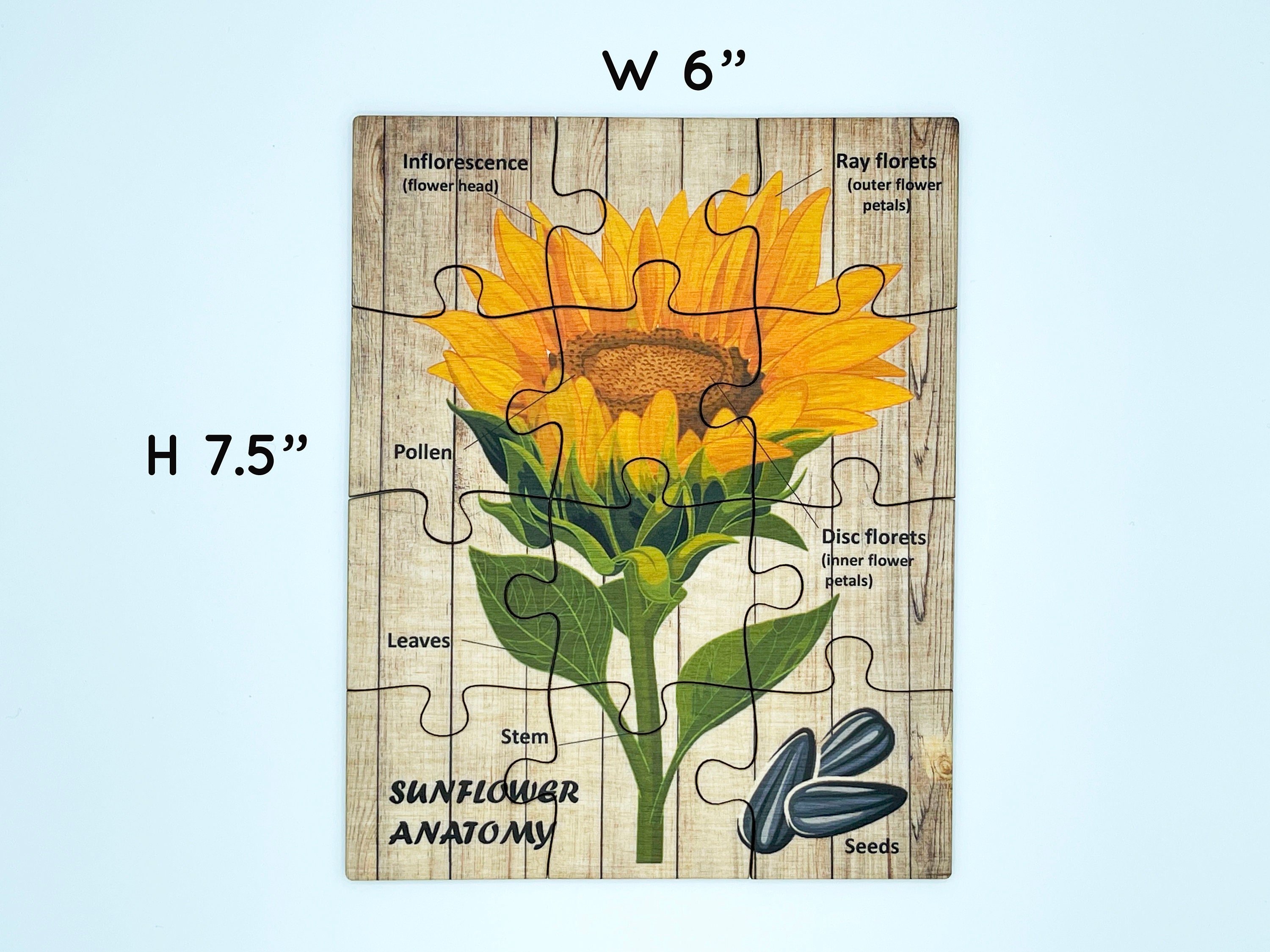 Montessori Wooden Sunflower Jigsaw Puzzle/ Wood Anatomy | Etsy