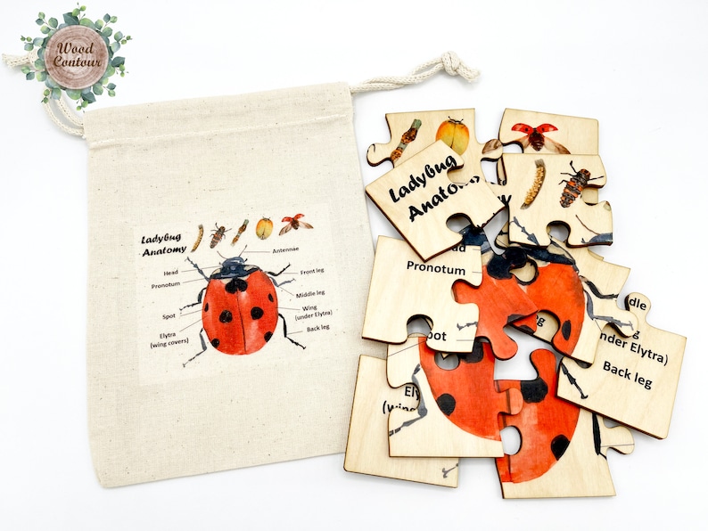 Montessori Wooden Anatomy Ladybug Puzzle/ Homeschool Preschool ...