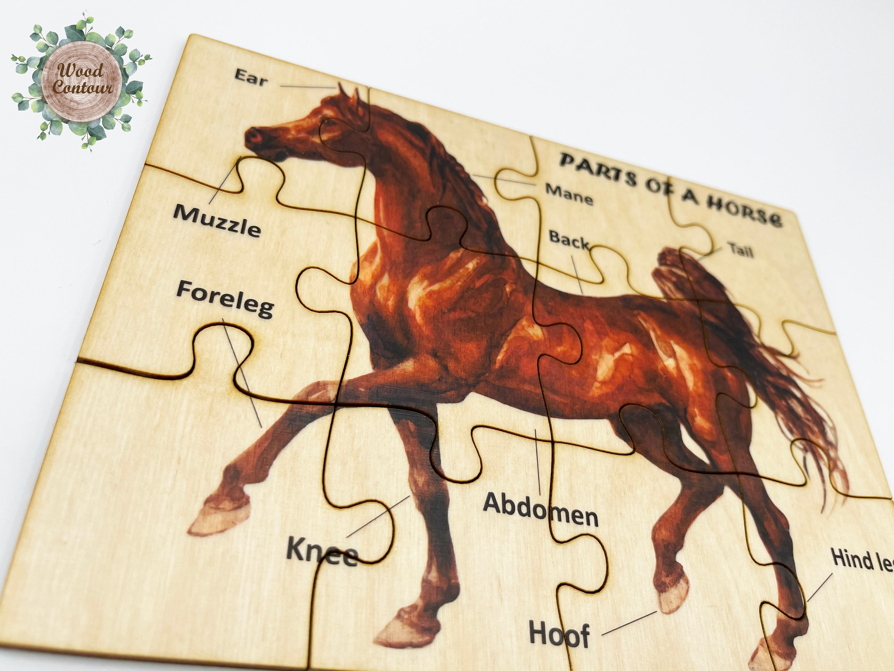 Montessori Wooden anatomy horse puzzle/ Homeschool Preschool | Etsy