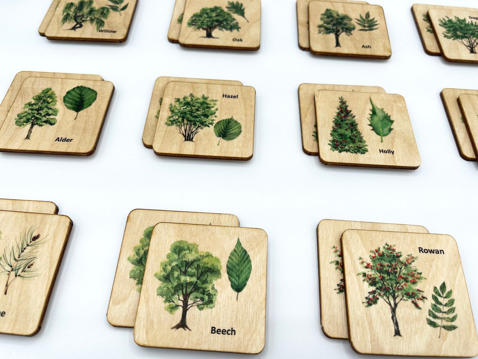 Wooden North American Tree Leaf Matching Game, Montessori Match Tree ...