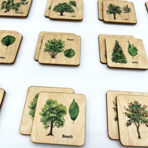 Wooden North American Tree Leaf Matching Game, Montessori Match Tree ...