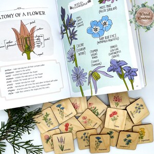 Montessori wooden wildflowers memory game/ matching cards/ | Etsy