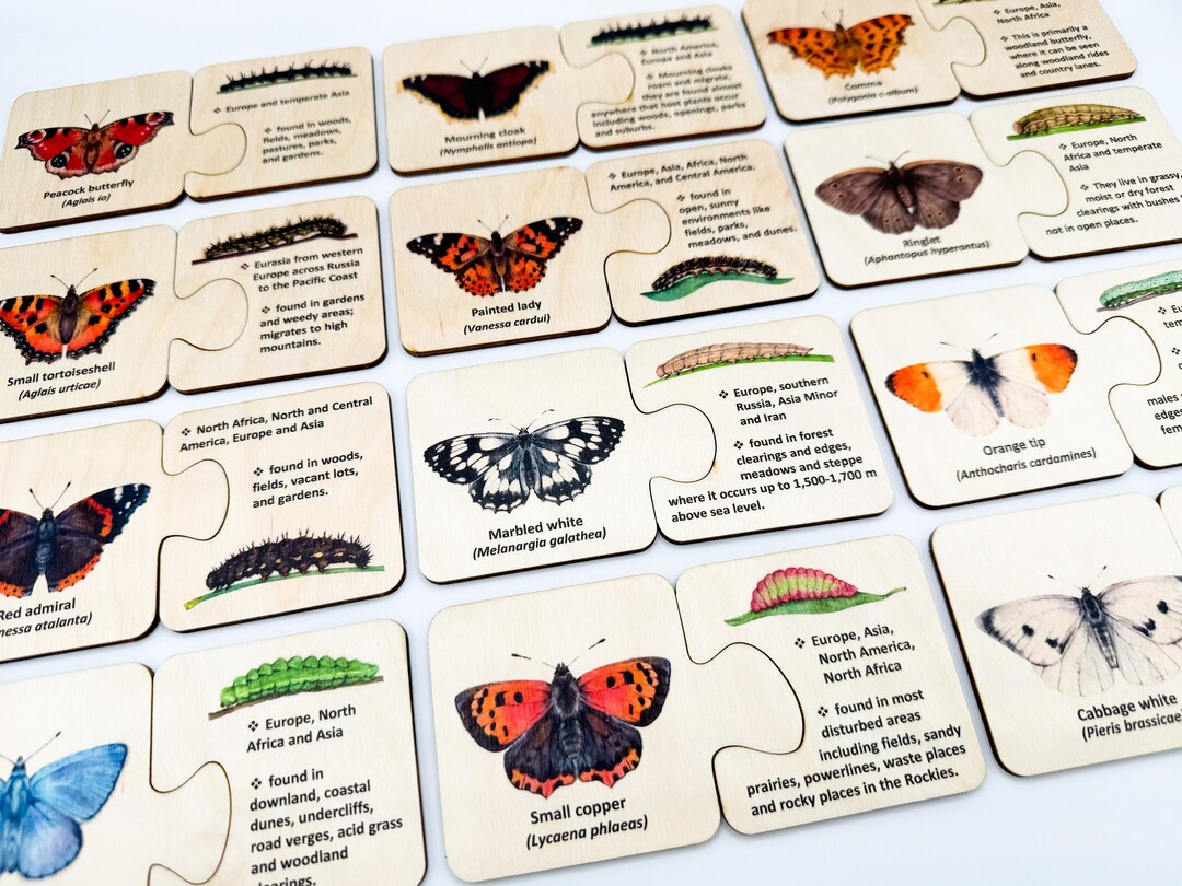 Wooden Butterfly Caterpillar Self Correcting Puzzle/ Butterfly Sorting ...