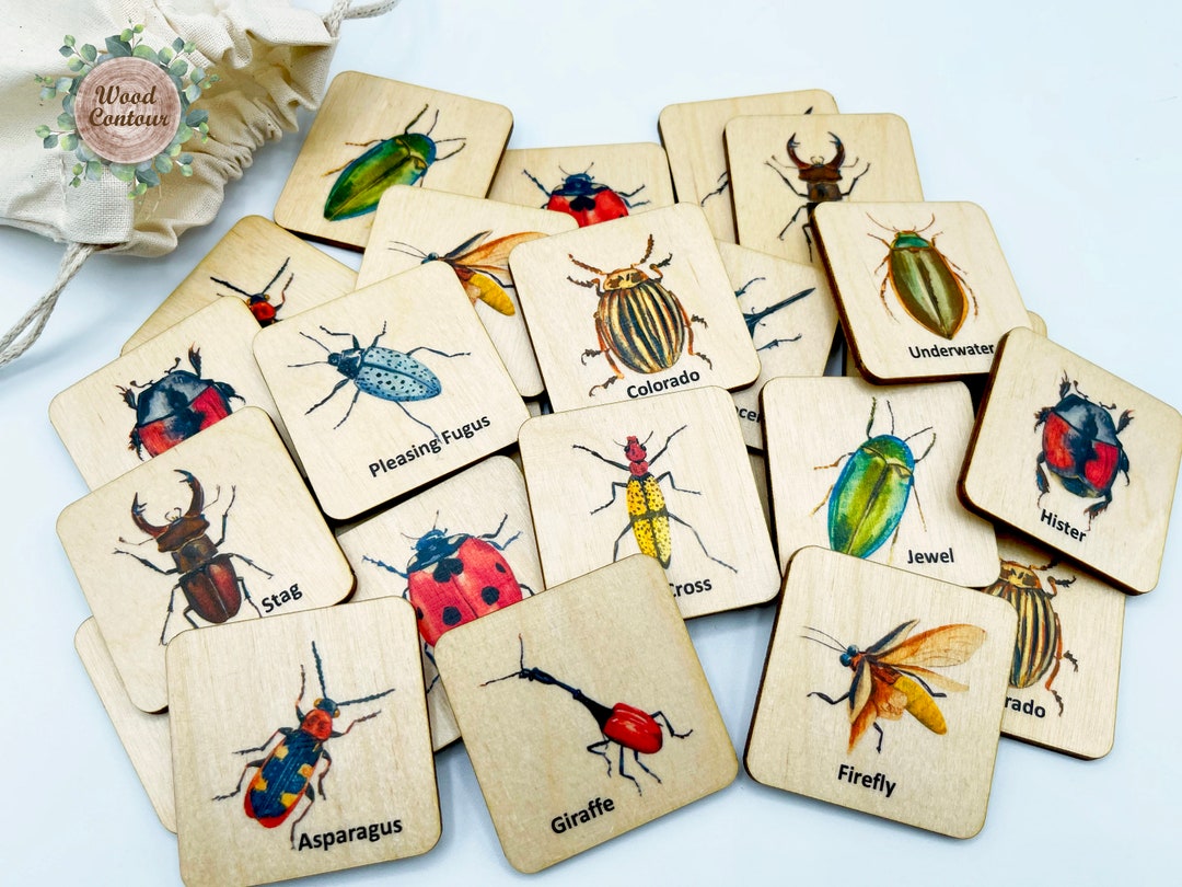 Wooden Beetle Memory Game/ Montessori Homeschool Kindergarten ...