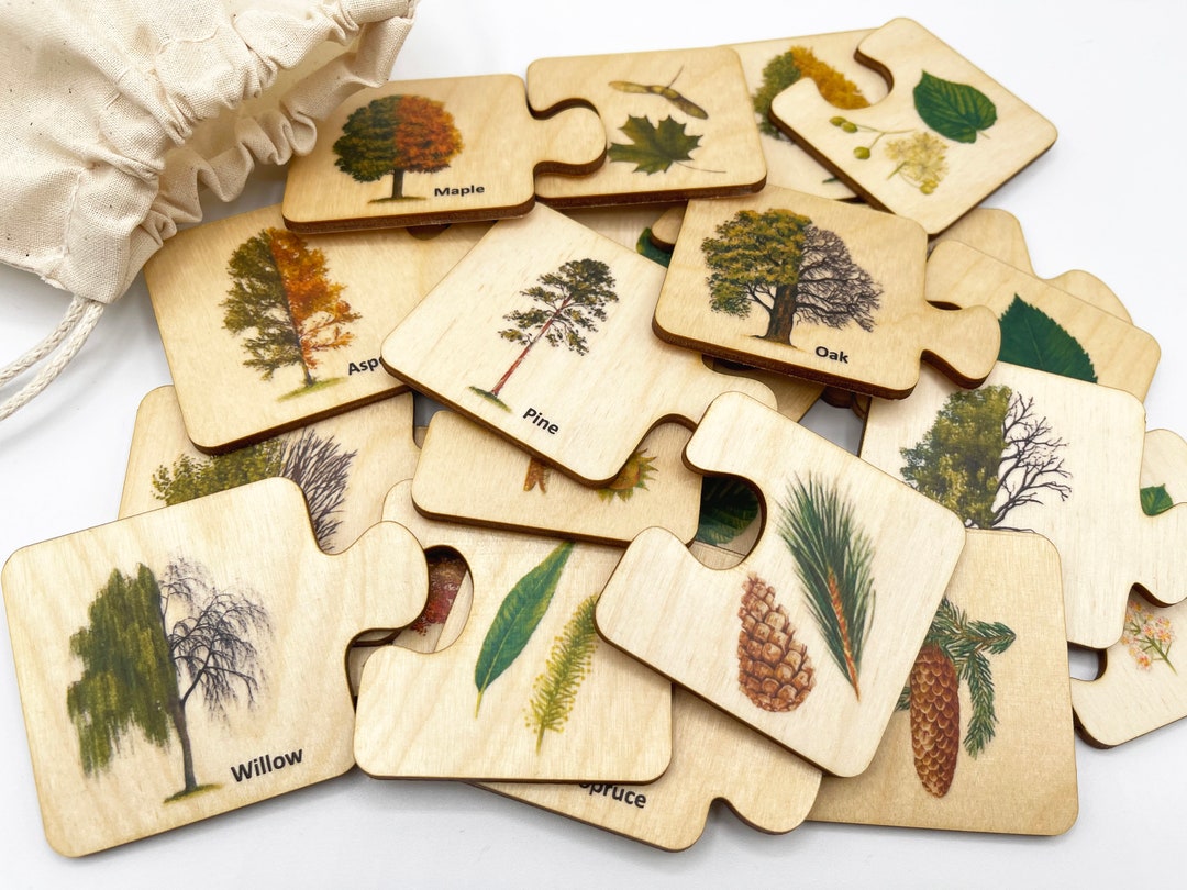 Montessori Wood Tree Leaves Matching Puzzle/ Homeschool Preschooler ...