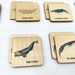 Montessori Wooden Whale Matching Game/ Ocean Animals Whales Memory Game ...