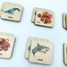 Wood Montessori Ocean Animals Matching Game/ Sea Creatures Animals ...