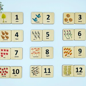 Montessori Wooden Counting Nature Numbers Match Cards/ Bilingual French ...