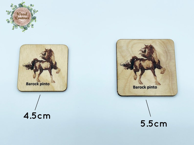 Wooden Montessori Horses Memory Game/ Homeschool Kindergarten ...
