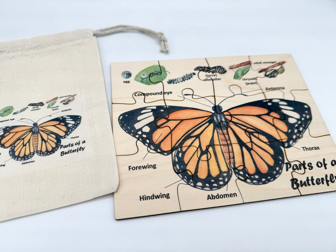 Montessori Wooden Butterfly Jigsaw Puzzle/ Wood Anatomy Butterfly/ Life ...