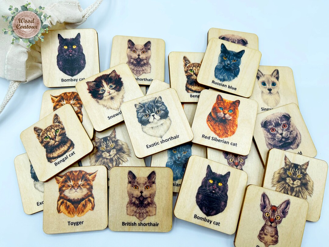 Wooden Cat Memory Game/ Cats Matching Game Activity/ Montessri ...