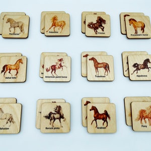 Wooden Montessori Horses Memory Game/ Homeschool Kindergarten ...