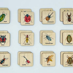 Wooden Beetle Memory Game/ Montessori Homeschool Kindergarten ...