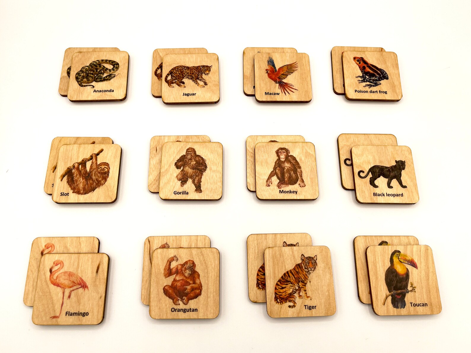 Montessori Rainforest Animals Matching Cards Wooden South | Etsy